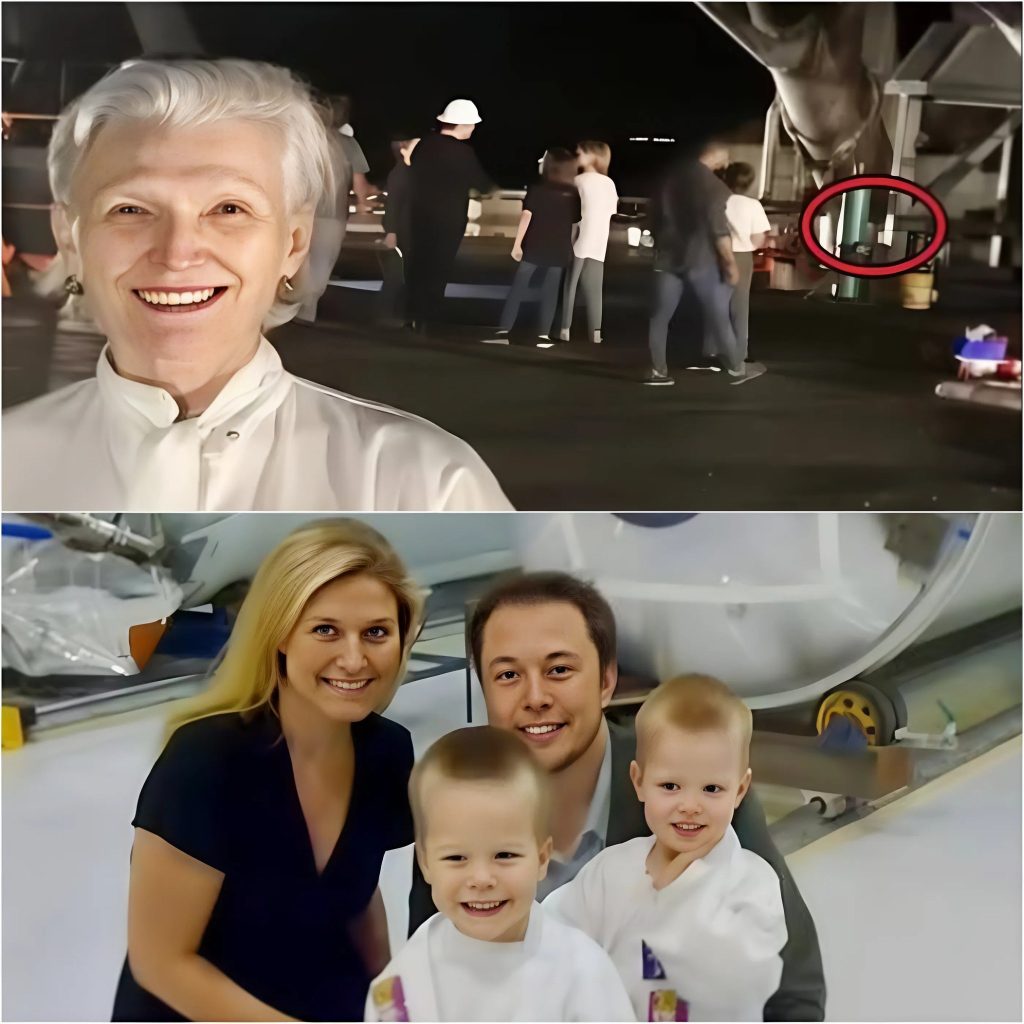 A SURPRISING DETAIL: Elon Musk’s mother, Maye, shared a 2008 photo ...